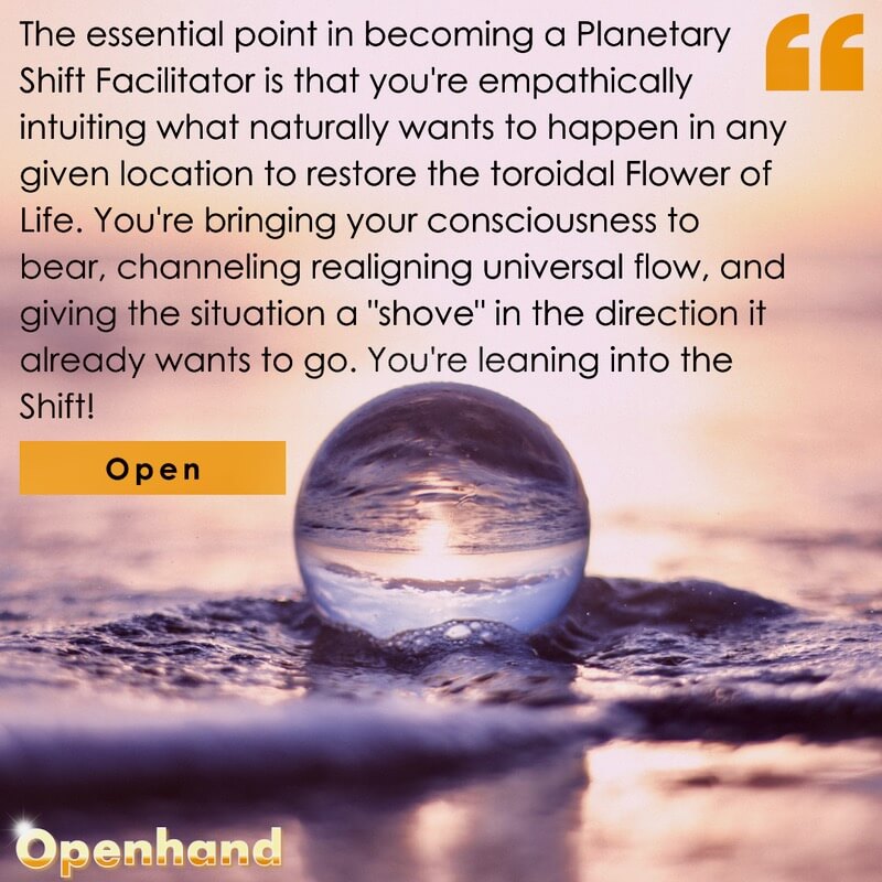 Planetary Shift Facilitator | Openhand